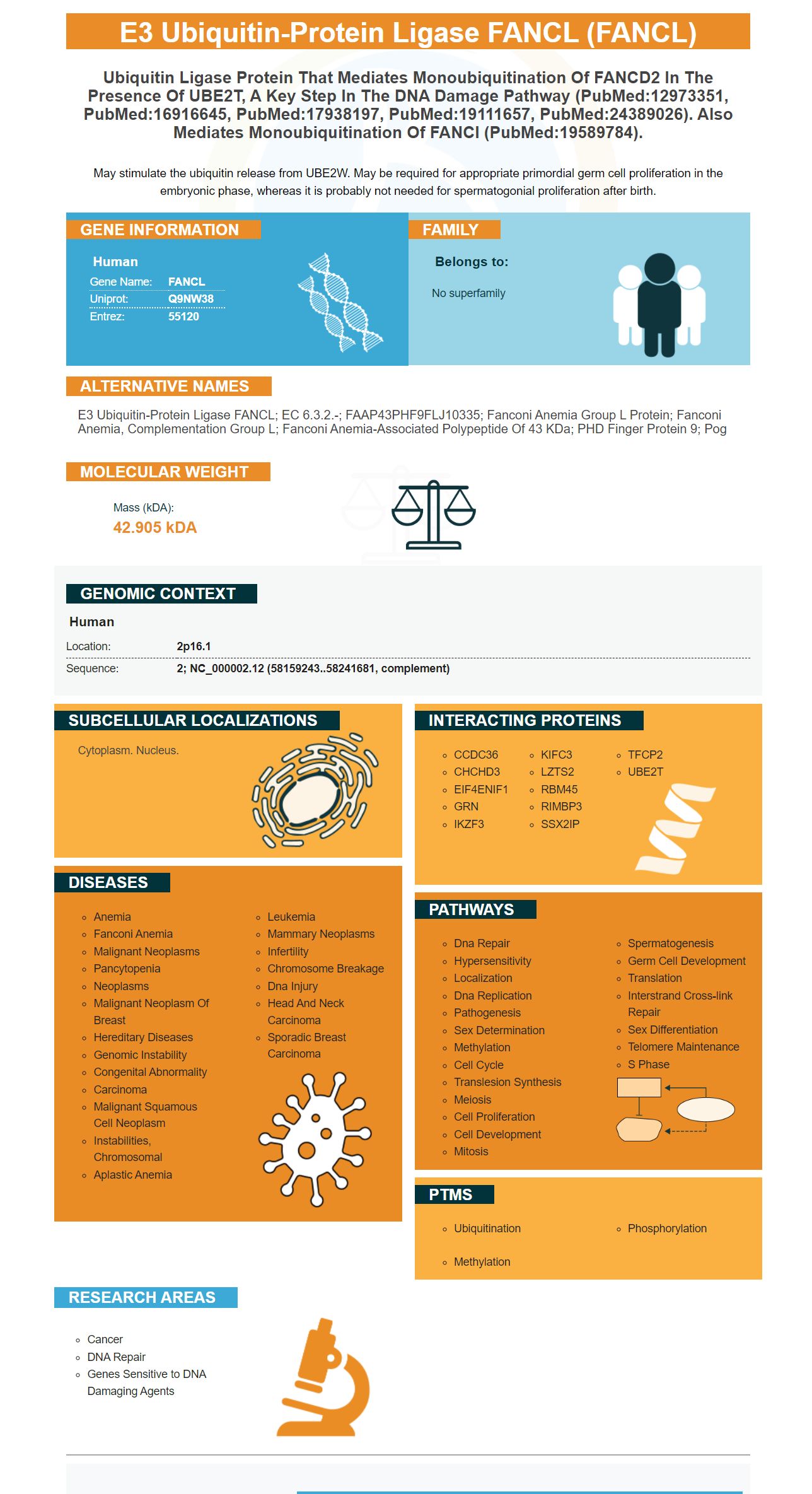 FANCL Antibodies & ELISA Kits, FANCL Proteins
