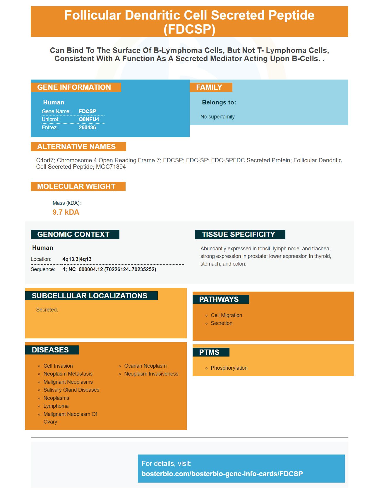 FDCSP Antibodies & ELISA Kits, FDCSP Proteins