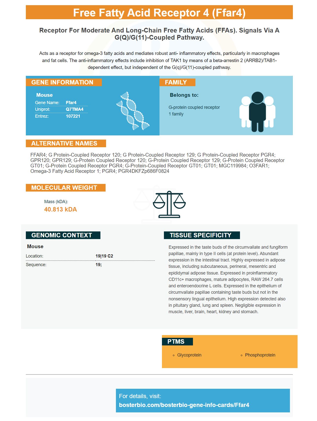 FFAR4 Antibodies & ELISA Kits, FFAR4/GPR120 Proteins