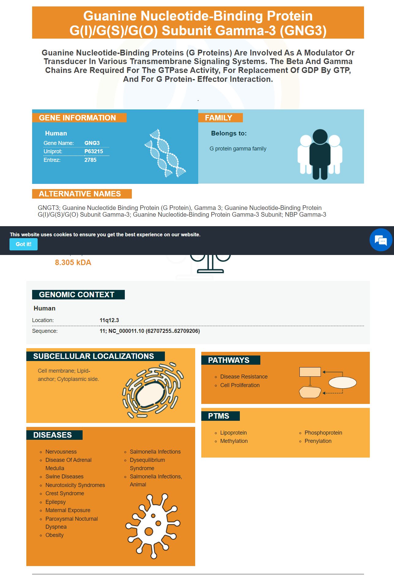 GNG3 Antibodies & ELISA Kits, G gamma3 Proteins