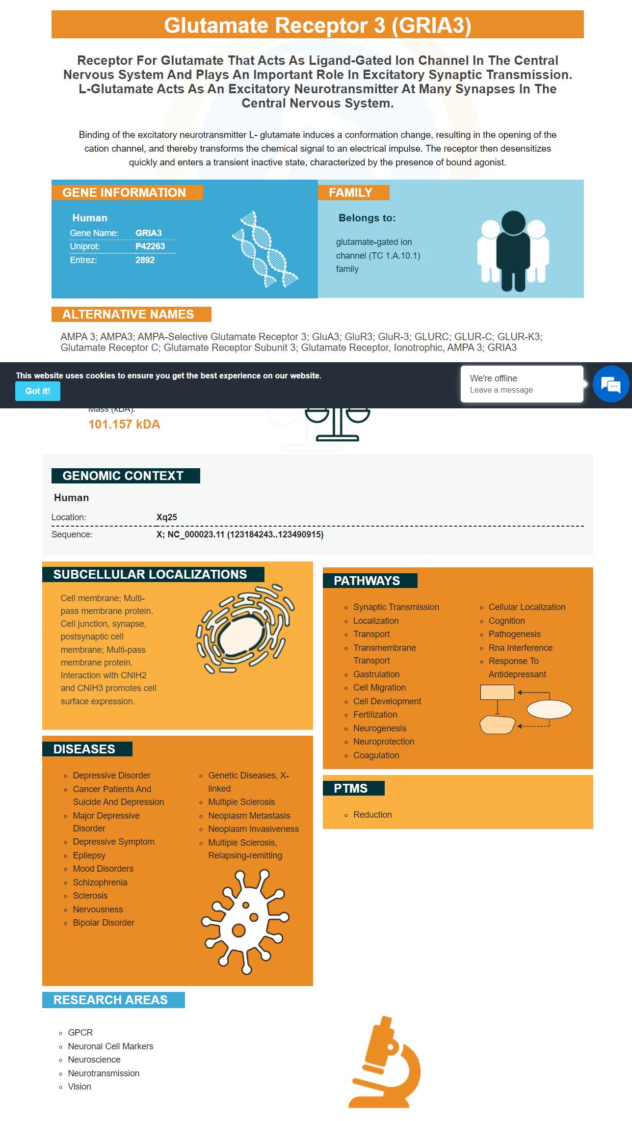 Gria3 Disorder Life Expectancy Stores UK | brunofuga.adv.br