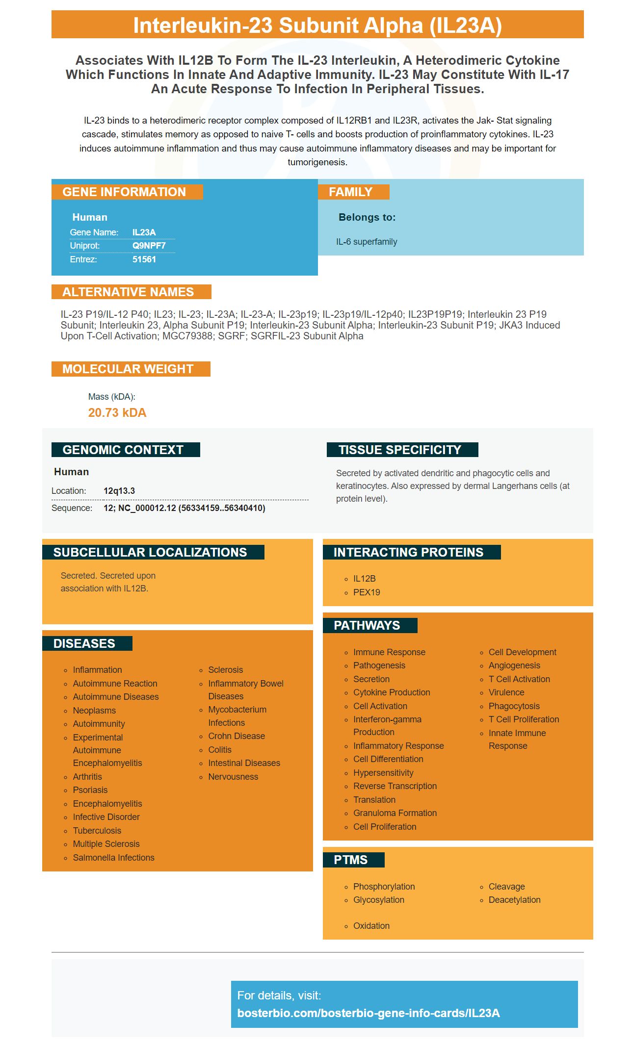 IL23A Antibodies & ELISA Kits, IL-23A/IL-23 P19 Proteins