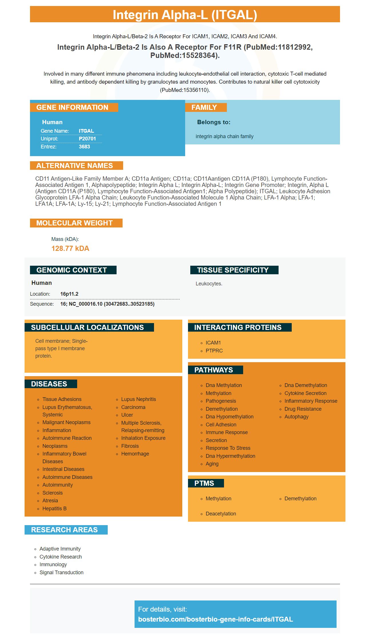 ITGAL Antibodies & ELISA Kits, ITGAL Proteins