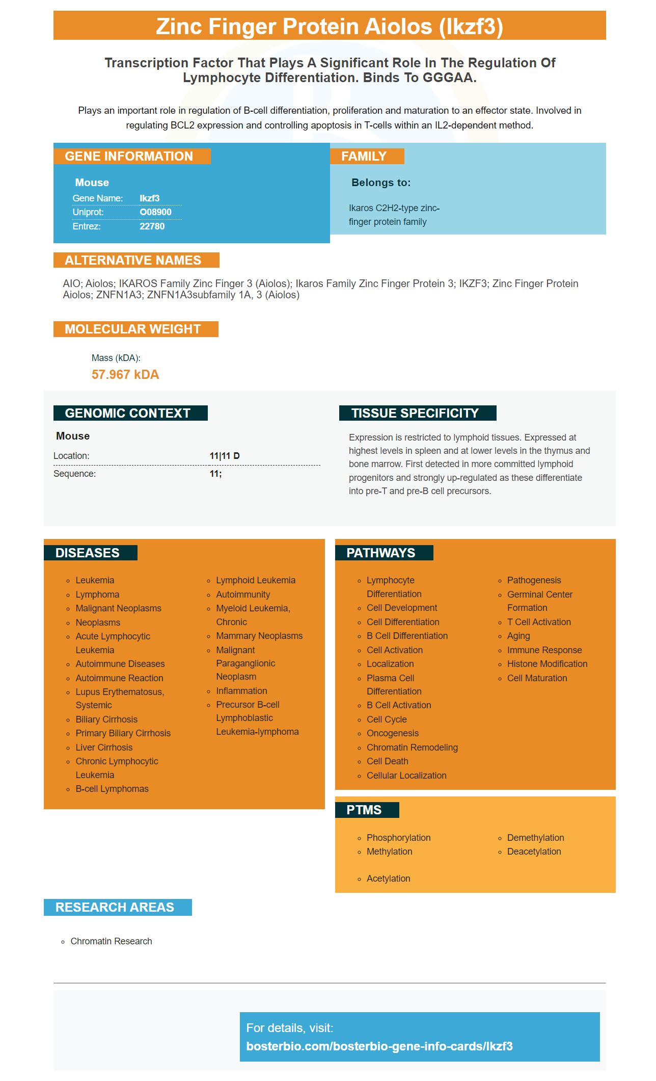 IKZF3 Antibodies & ELISA Kits, Aiolos/IKZF3 Proteins