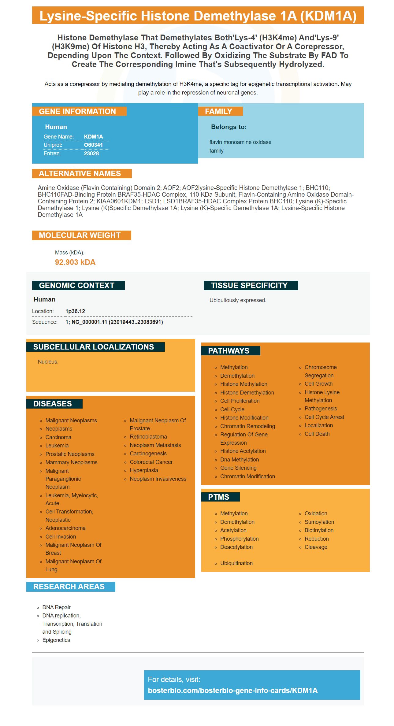 KDM1A Antibodies & ELISA Kits, LSD1 Proteins