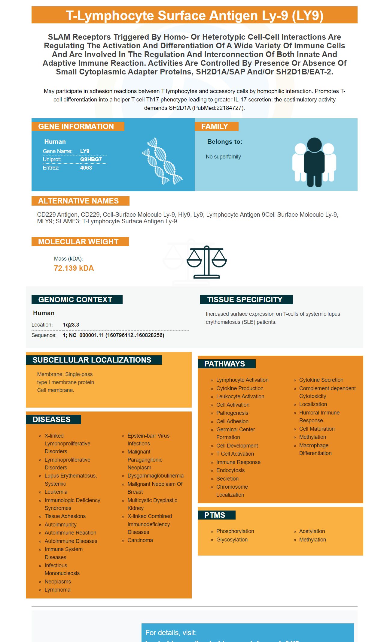 LY9 Antibodies & ELISA Kits, CD229/SLAMF3/Lymphocyte Antigen 9 Proteins