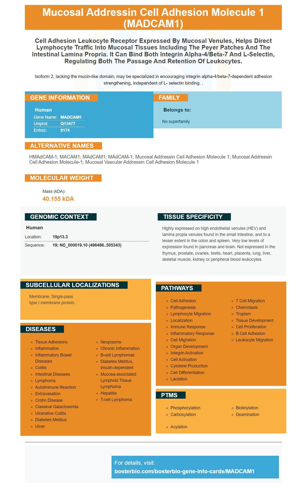 MADCAM1 Antibodies & ELISA Kits, MAdCAM-1 Proteins