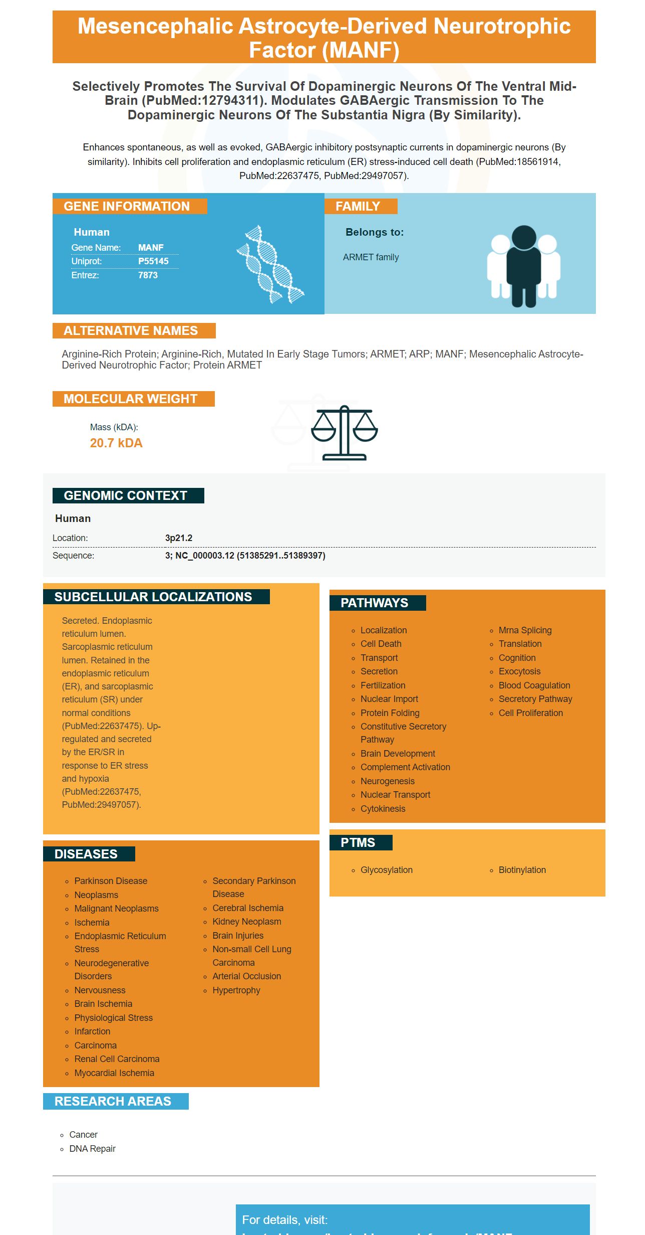 MANF Antibodies & ELISA Kits, MANF Proteins