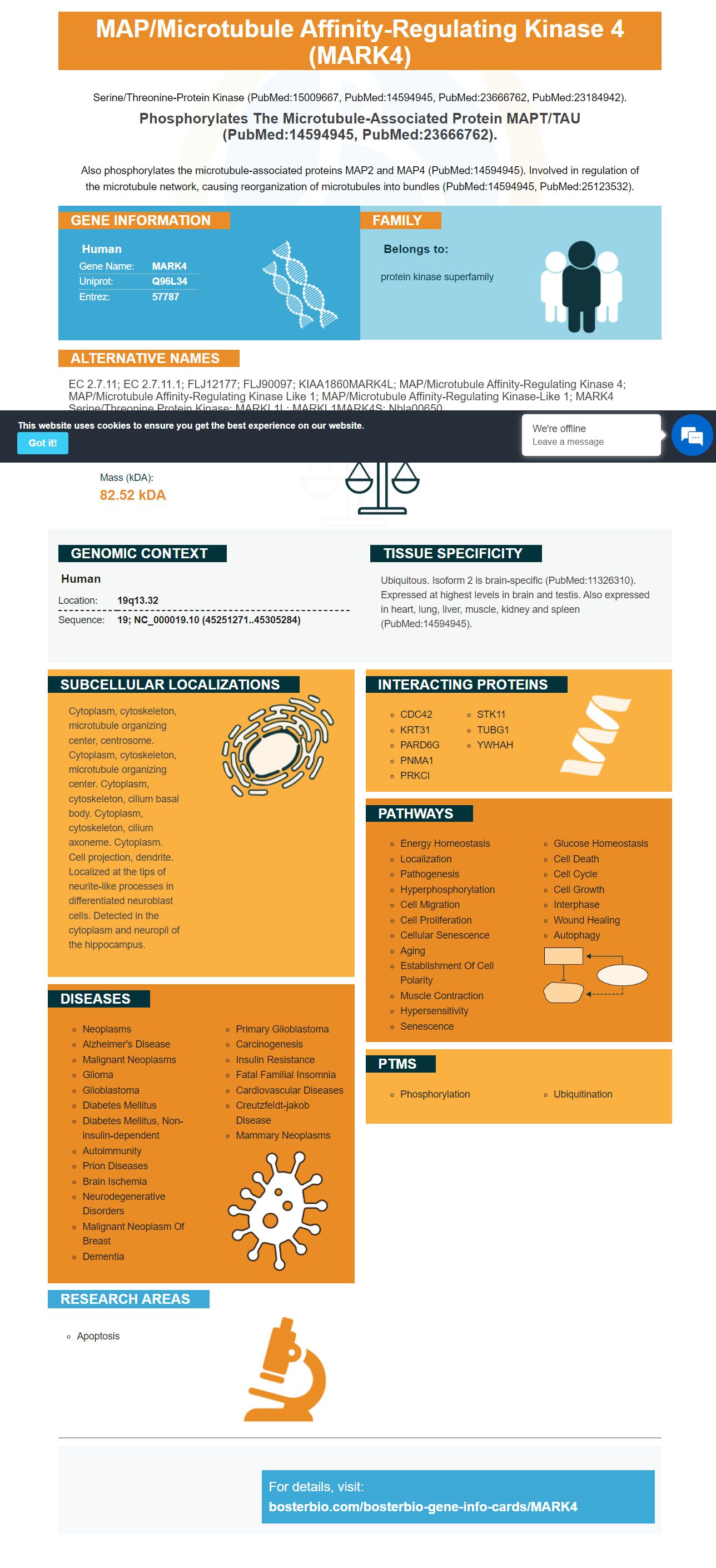 MARK4 Antibodies & ELISA Kits, MARK4 Proteins