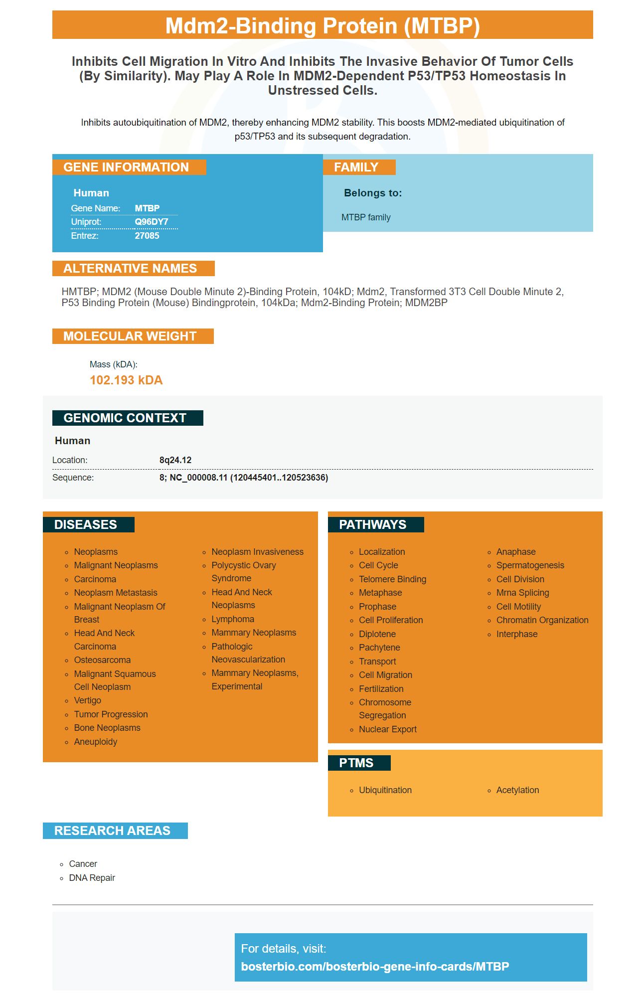 MTBP Antibodies & ELISA Kits, MTBP Proteins