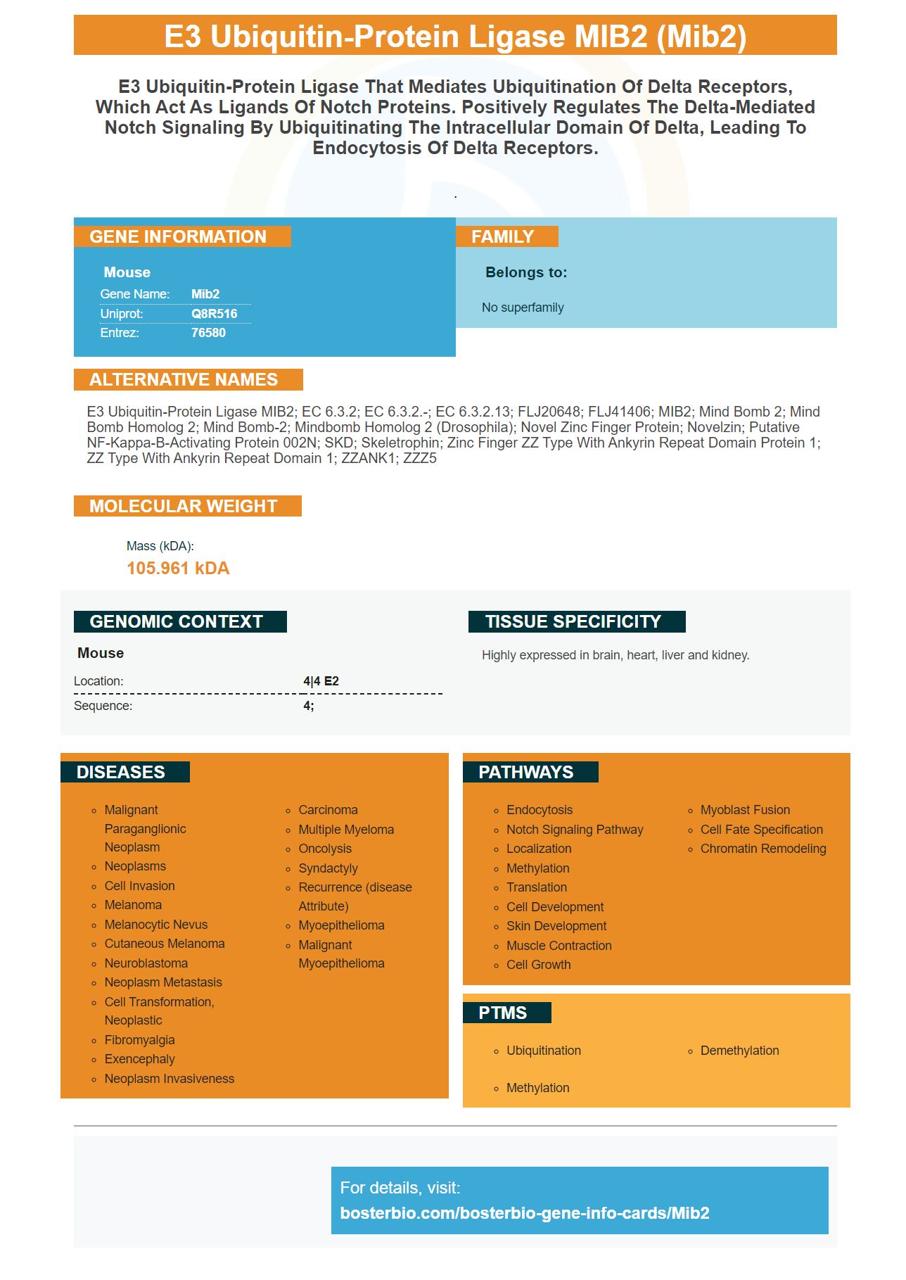 MIB2 Antibodies & ELISA Kits, Mind Bomb 2/MIB2 Proteins