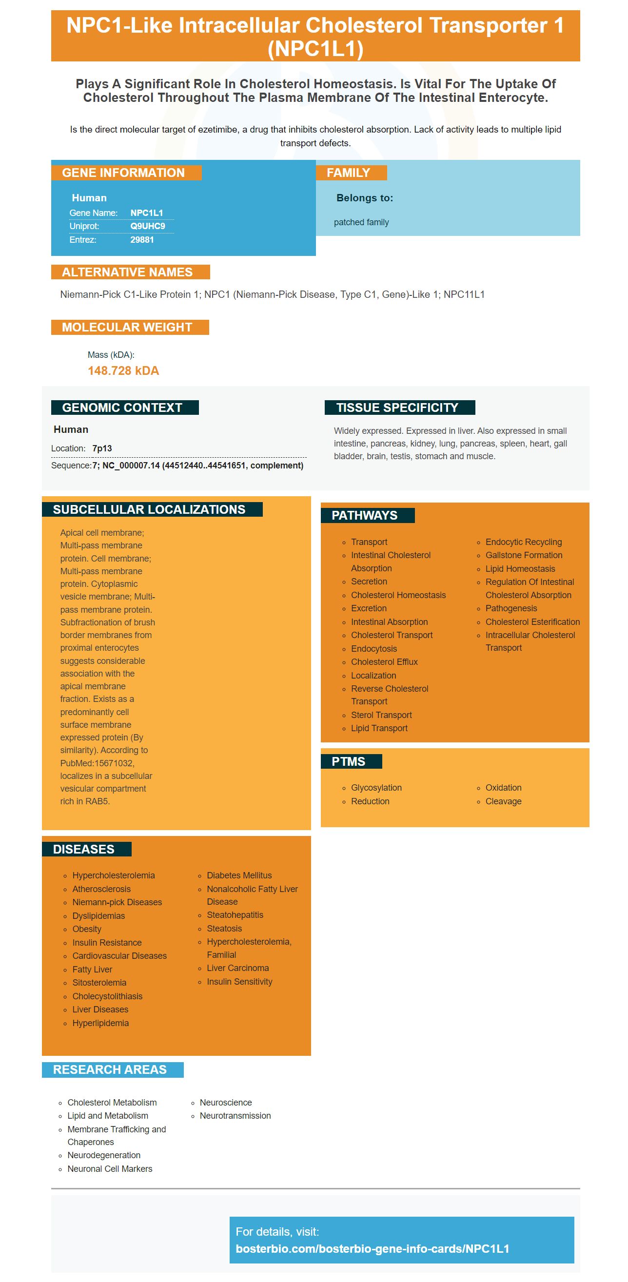 NPC1L1 Antibodies & ELISA Kits, Niemann-Pick type C1 Like-1 Proteins