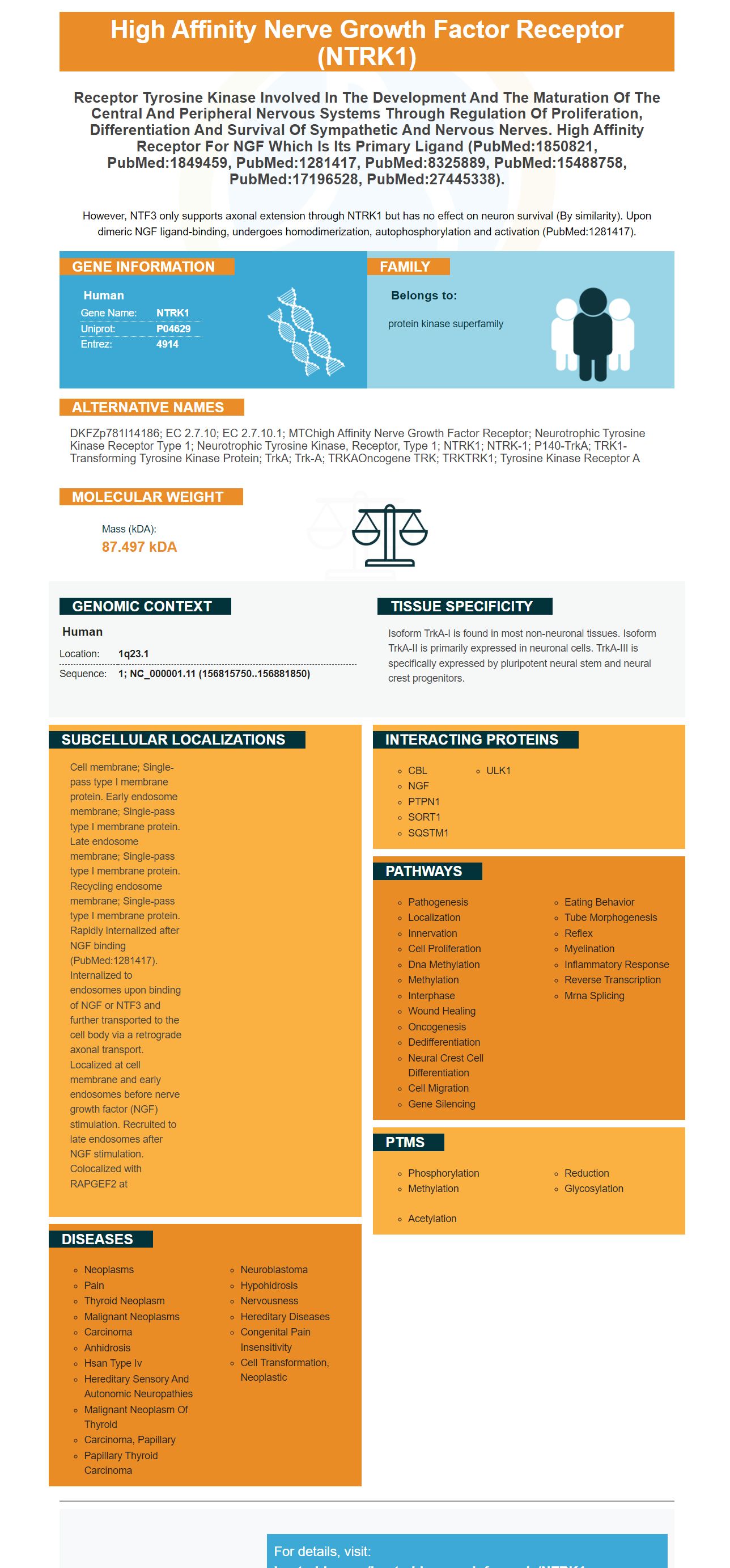 NTRK1 Antibodies & ELISA Kits, TrkA Proteins