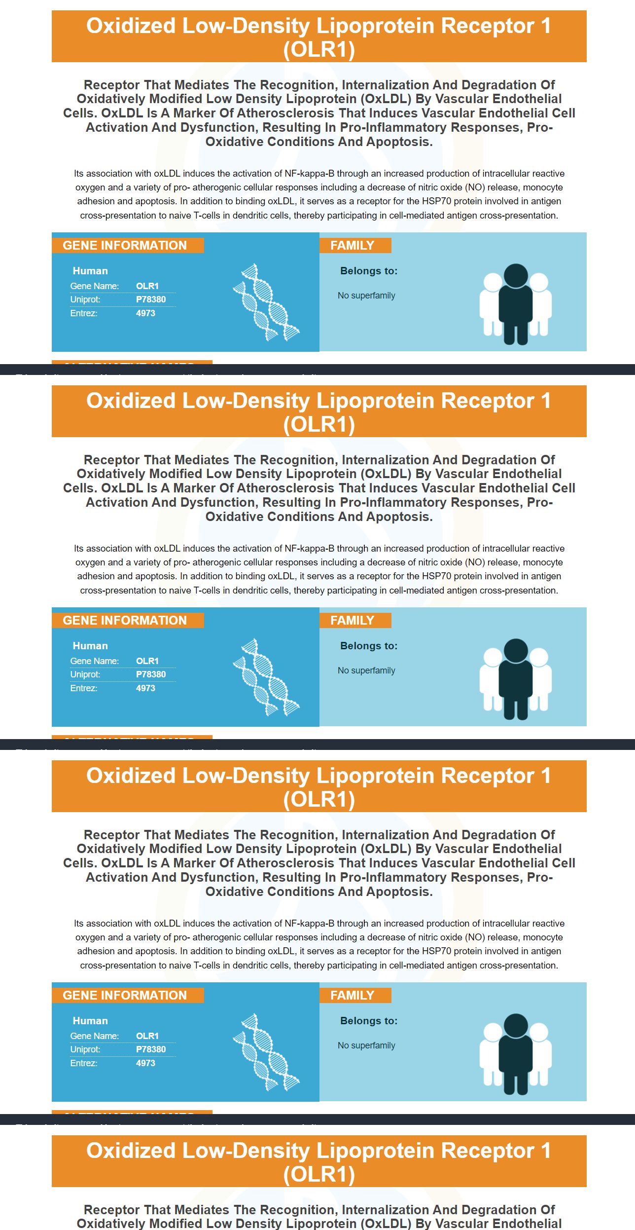 OLR1 Antibodies & ELISA Kits, LOX-1/OLR1 Proteins