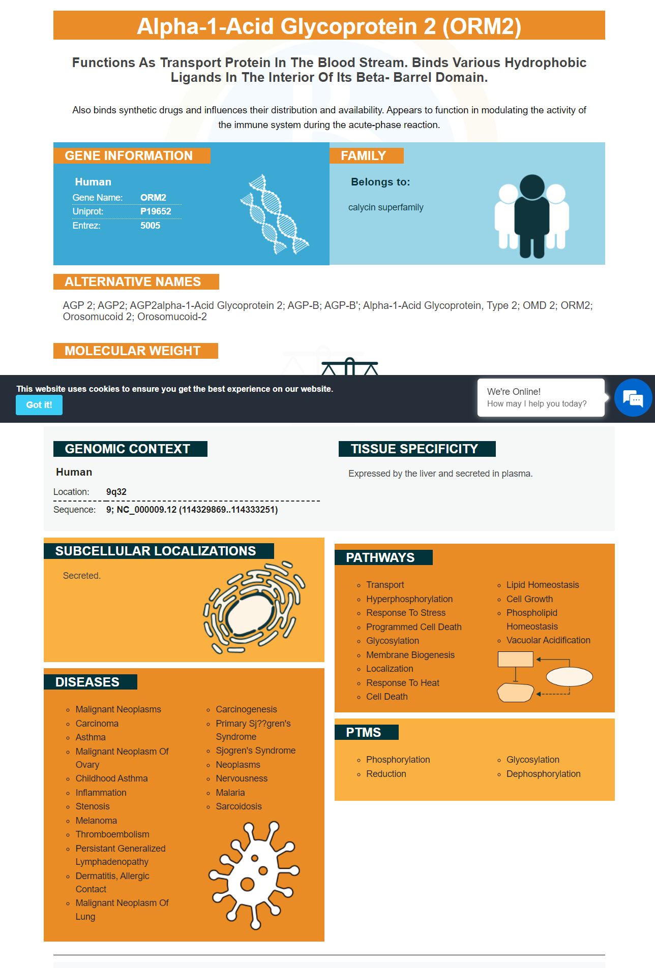 ORM2 Antibodies & ELISA Kits, Orosomucoid 2 Proteins