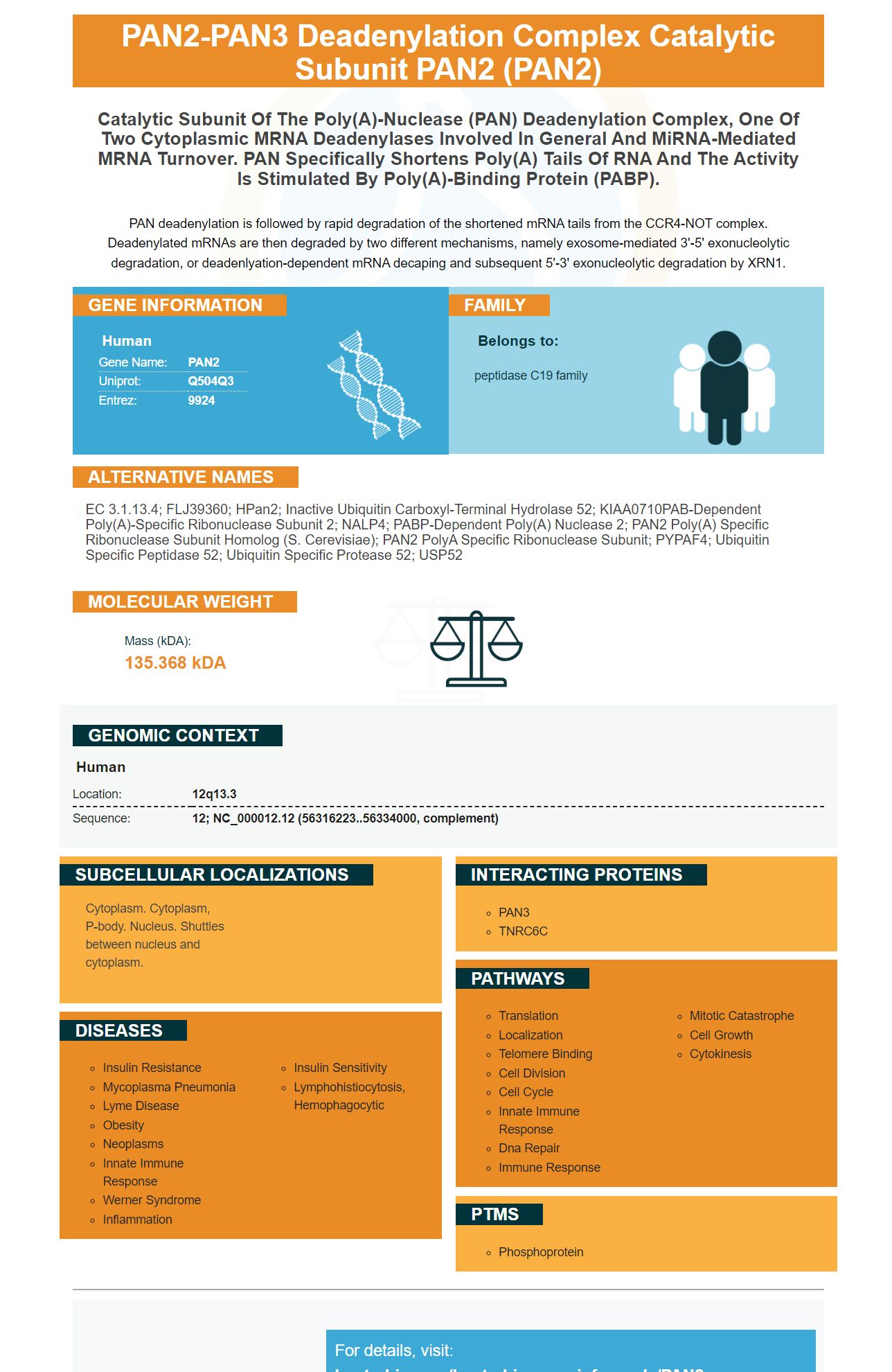 PAN2 Antibodies & ELISA Kits, USP52 Proteins