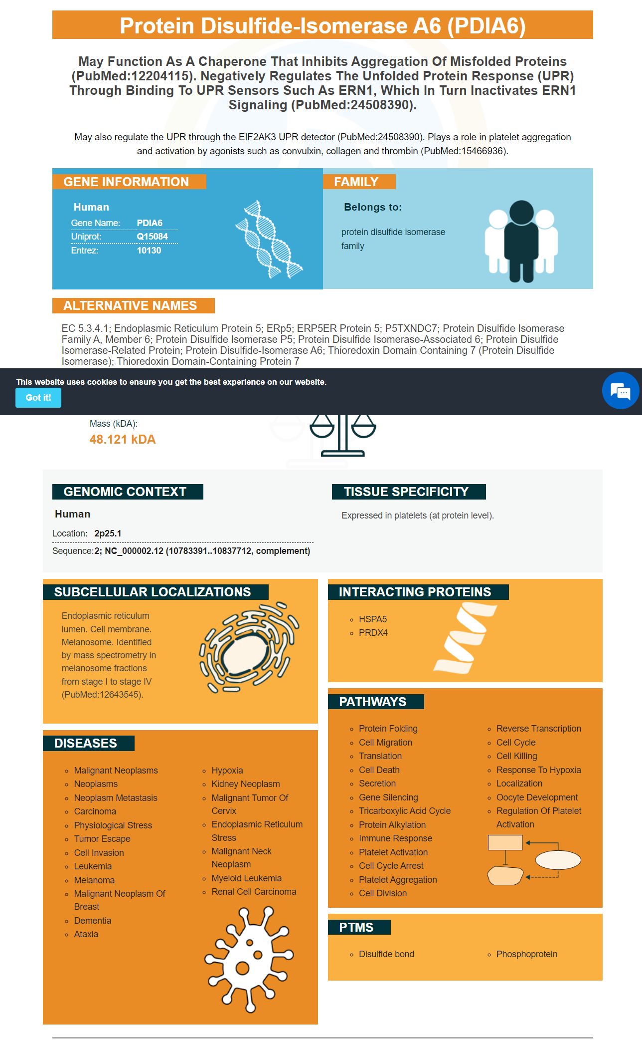 PDIA6 Antibodies & ELISA Kits, PDIA6 Proteins