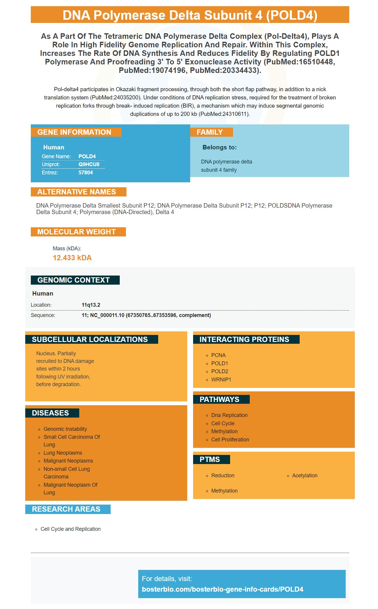 POLD4 Antibodies & ELISA Kits, POLD4 Proteins