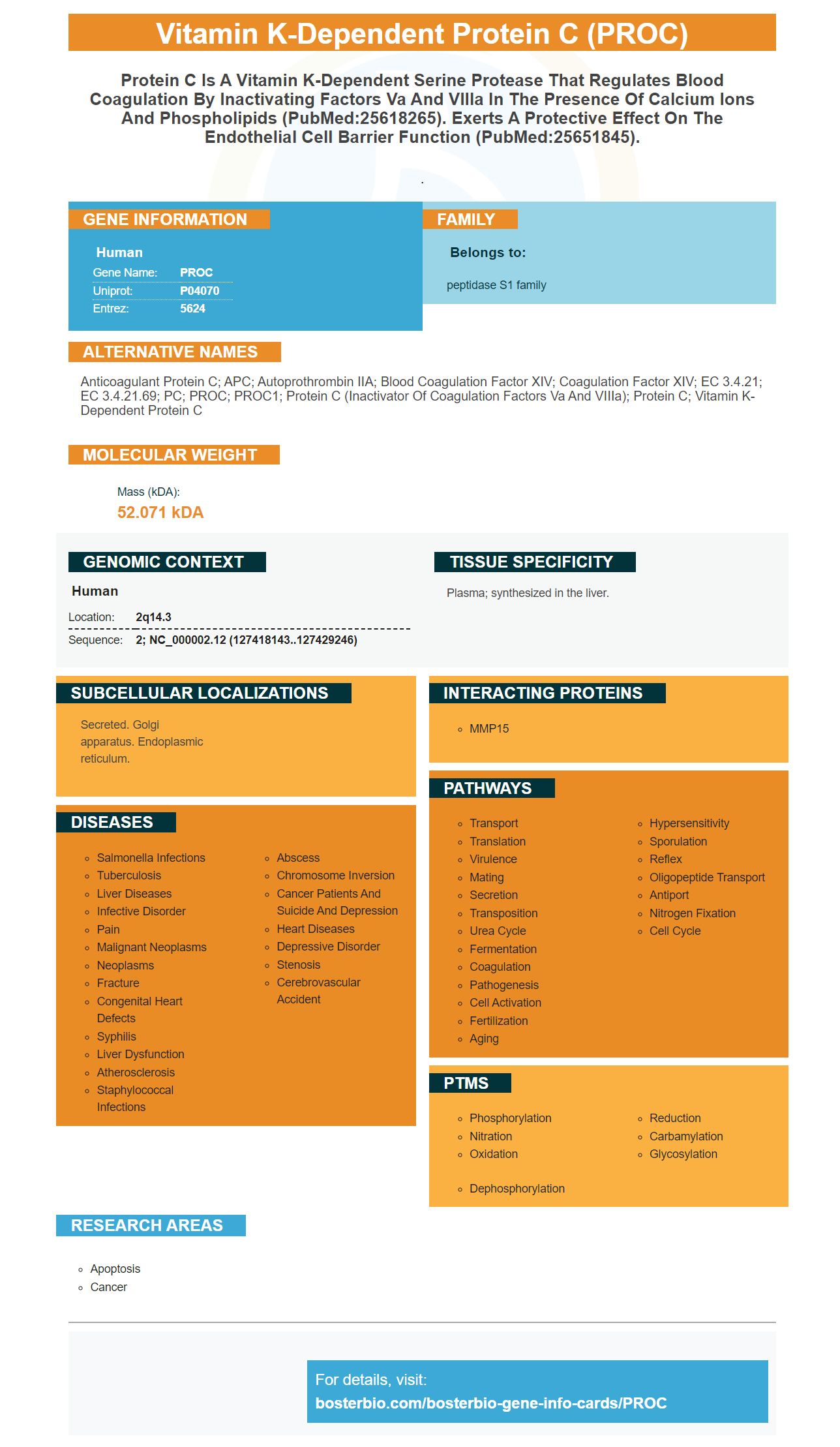 PROC Antibodies & ELISA Kits, Coagulation Factor XIV/Protein C Proteins