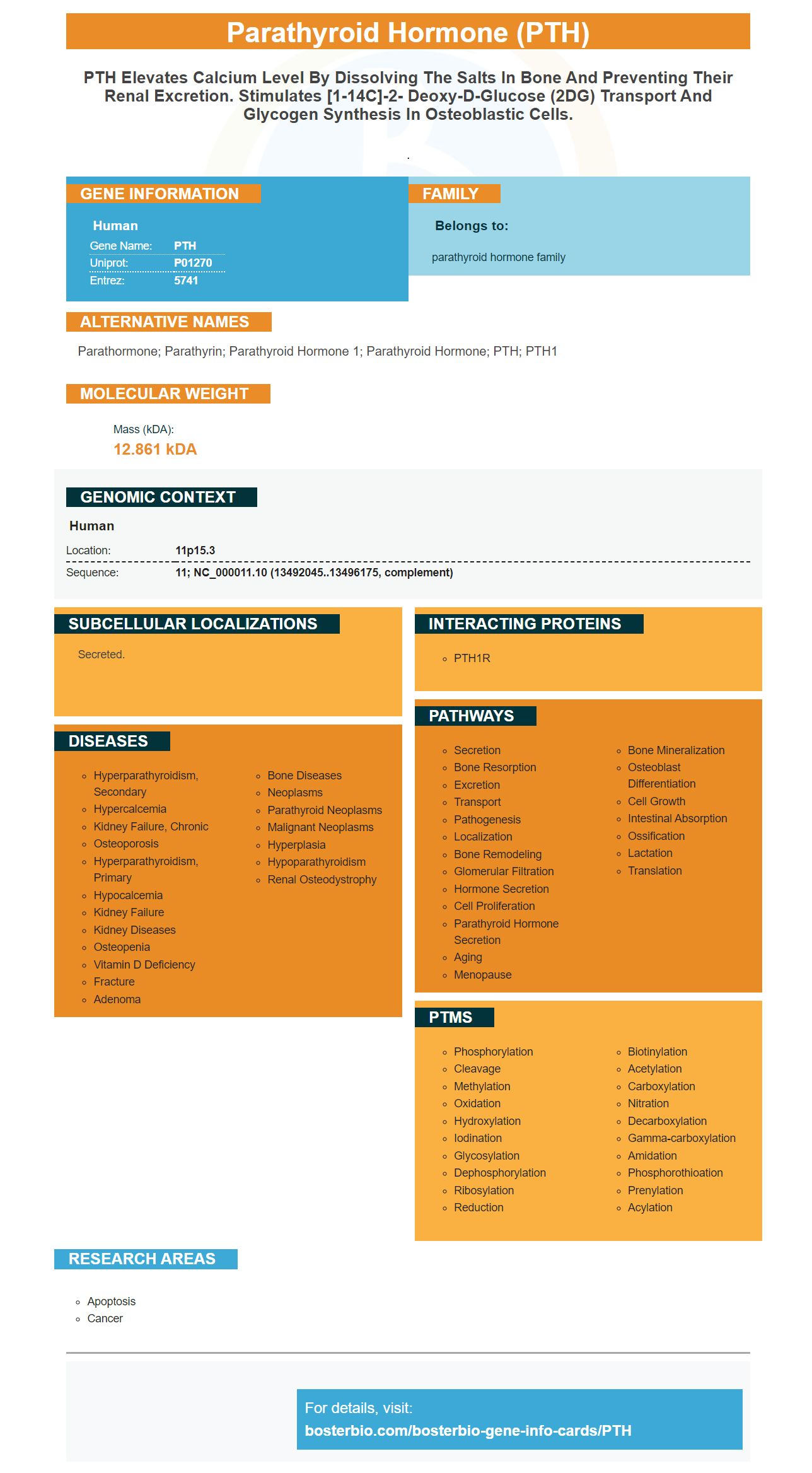 PTH Antibodies & ELISA Kits, PTH Proteins