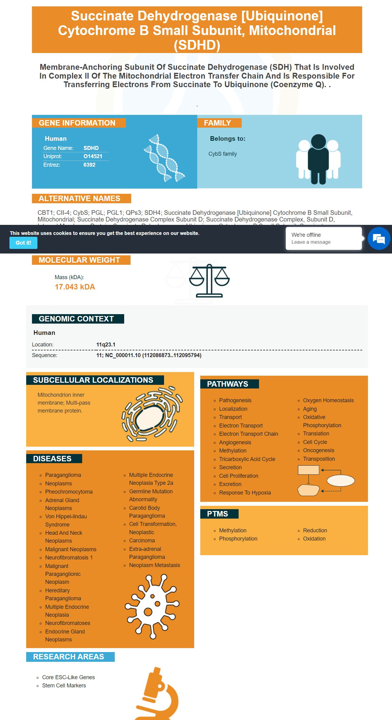 SDHD Antibodies & ELISA Kits, SDHD Proteins