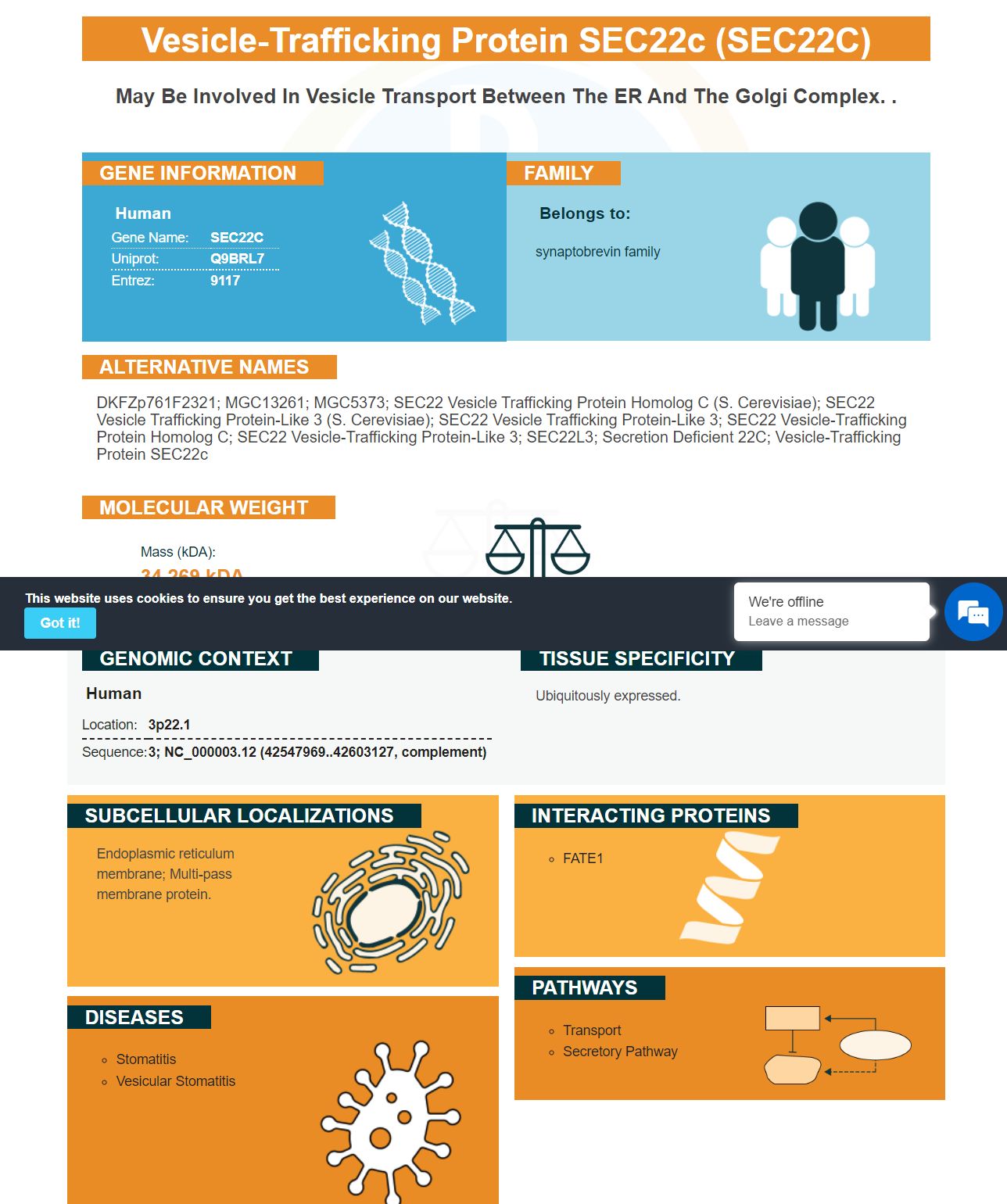 SEC22C Antibodies & ELISA Kits, SEC22C Proteins