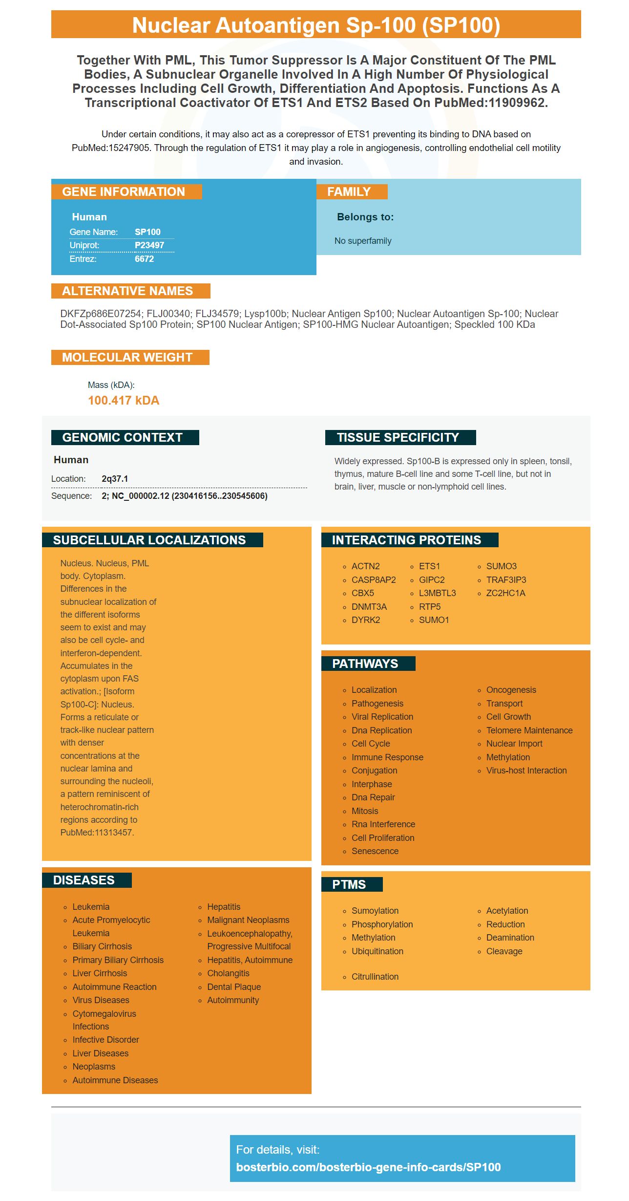 SP100 Antibodies & ELISA Kits, SP100 Proteins
