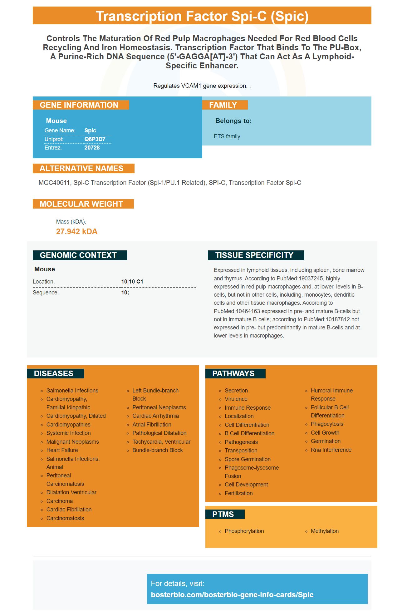 SPIC Antibodies & ELISA Kits, SPIC Proteins