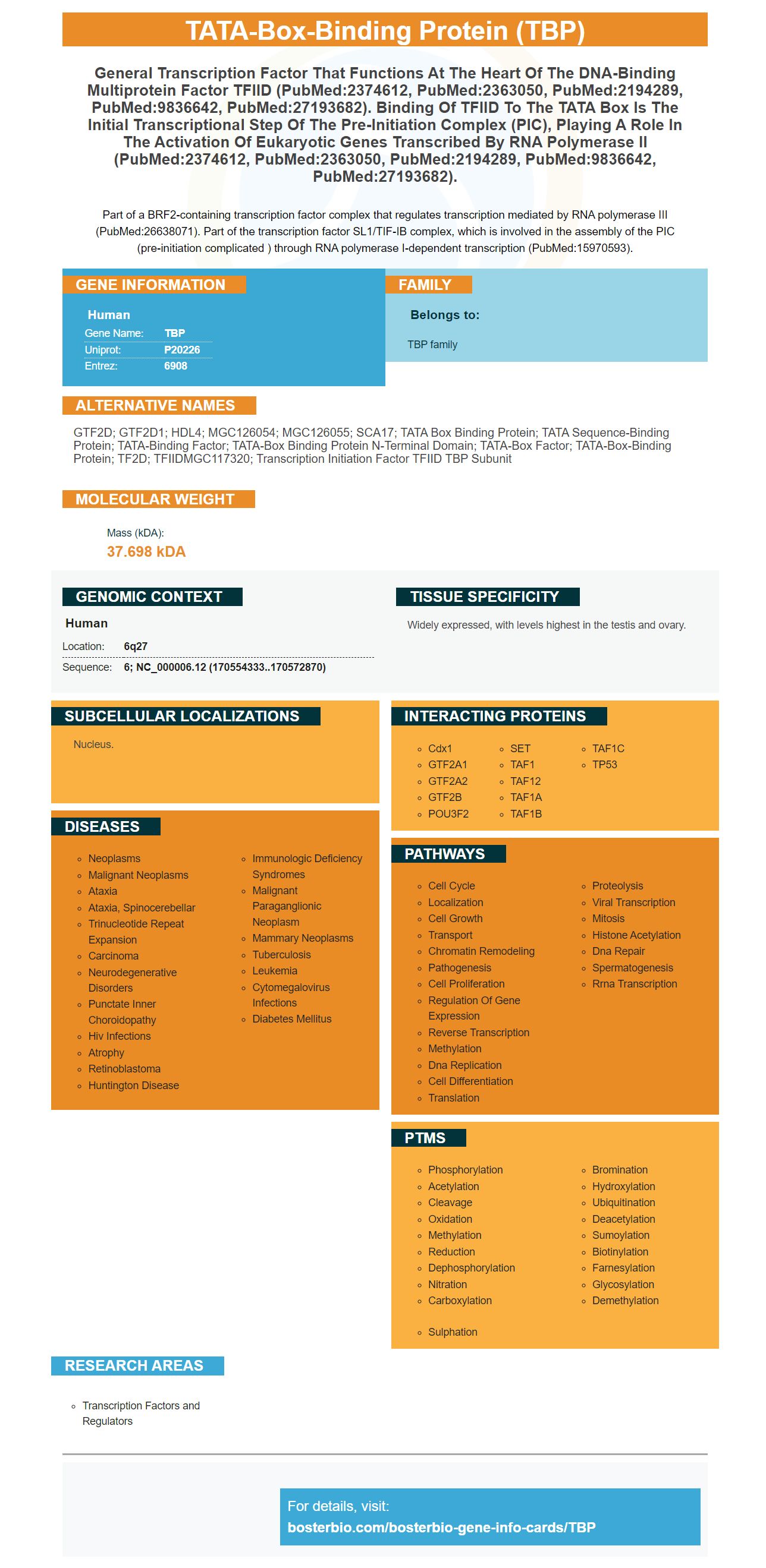 Tata Box Binding Protein
