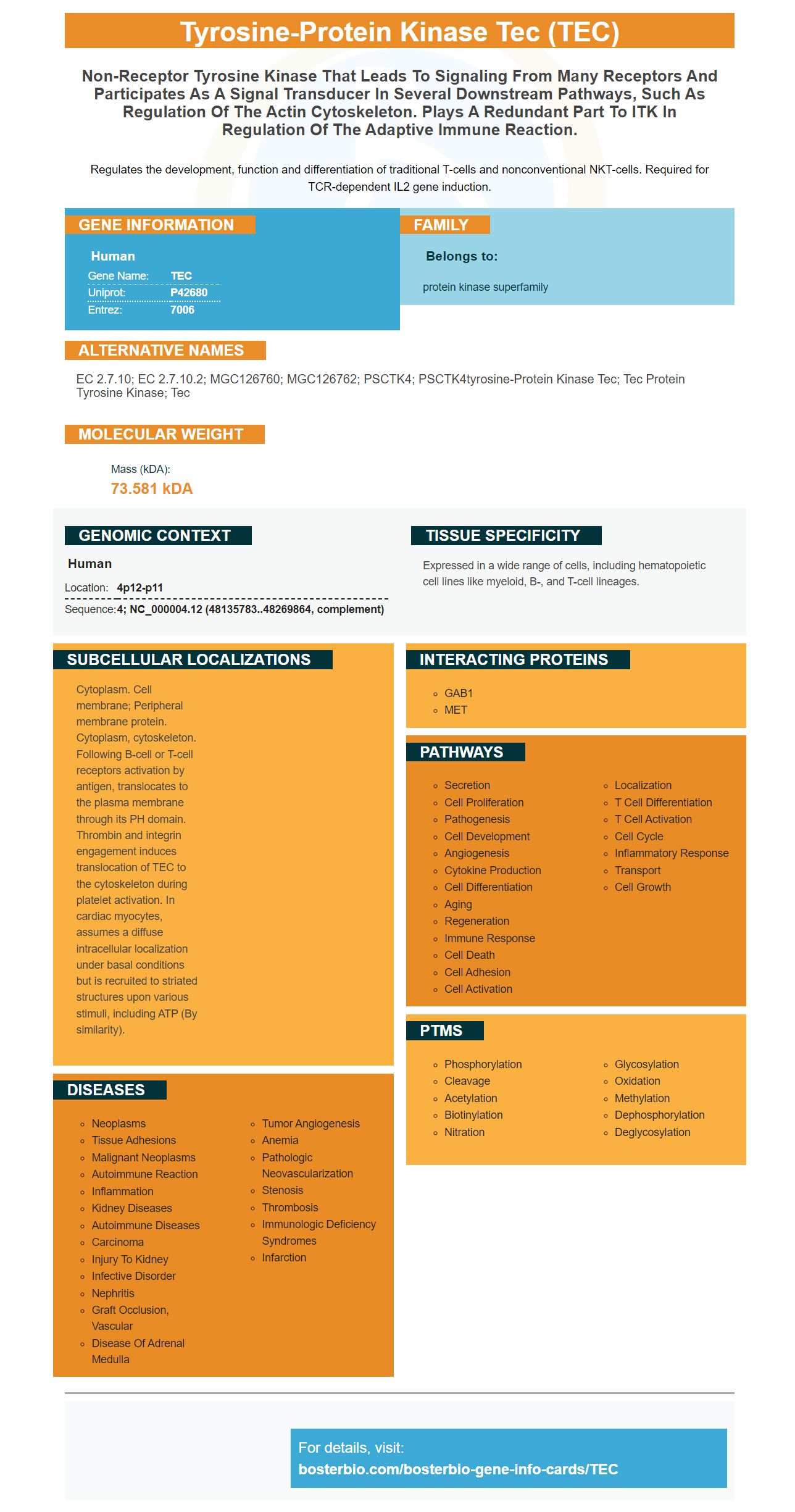 TEC Antibodies & ELISA Kits, TEC Proteins