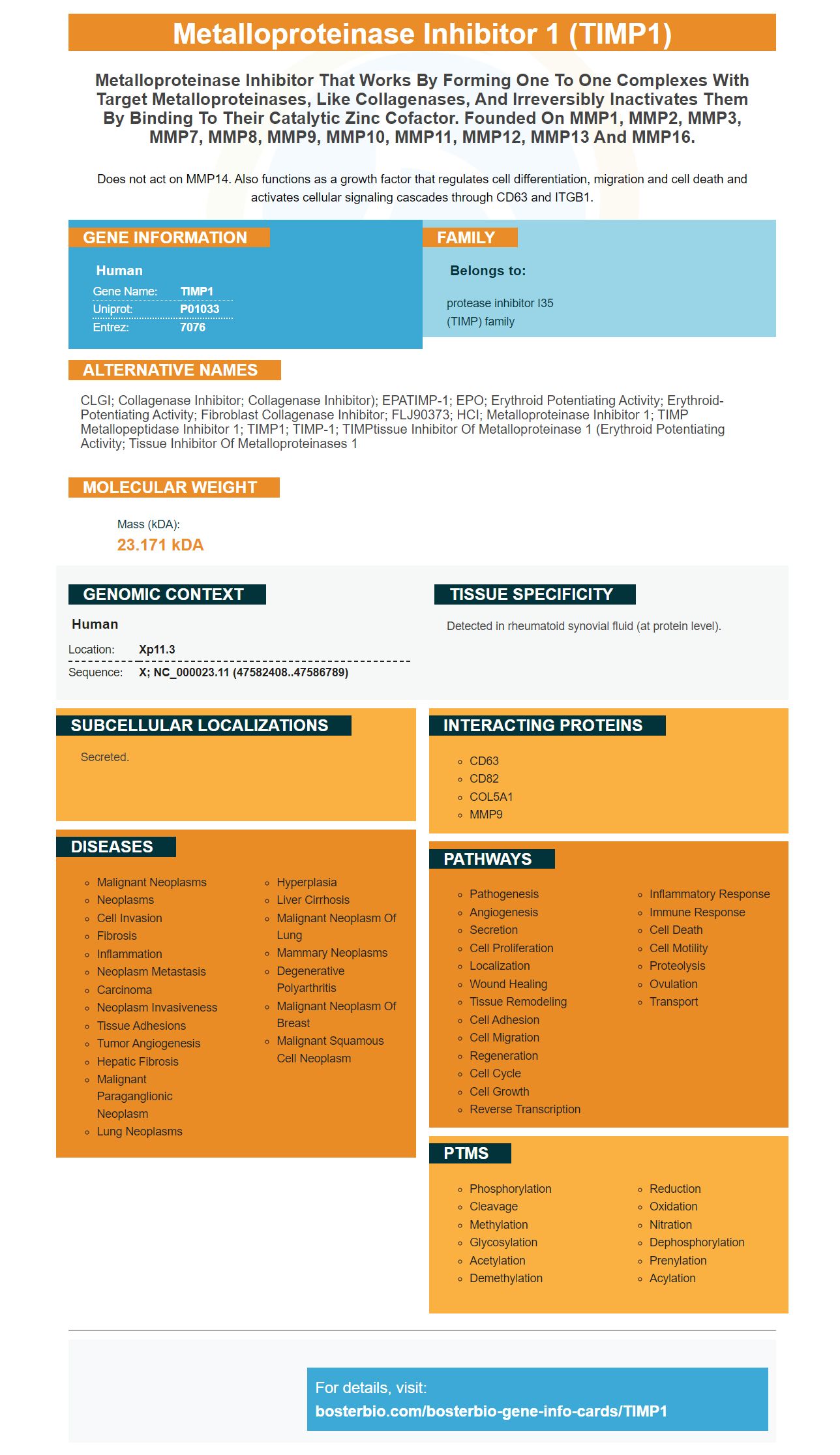 TIMP1 Antibodies & ELISA Kits, TIMP-1 Proteins