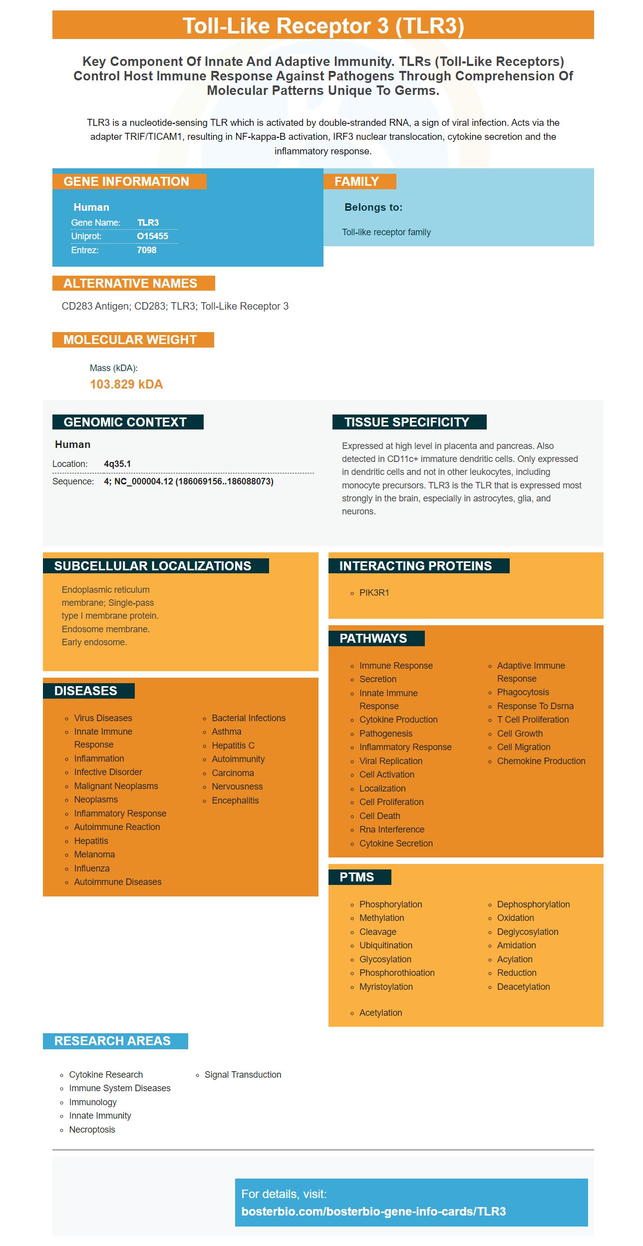 TLR3 Antibodies & ELISA Kits, TLR3 Proteins