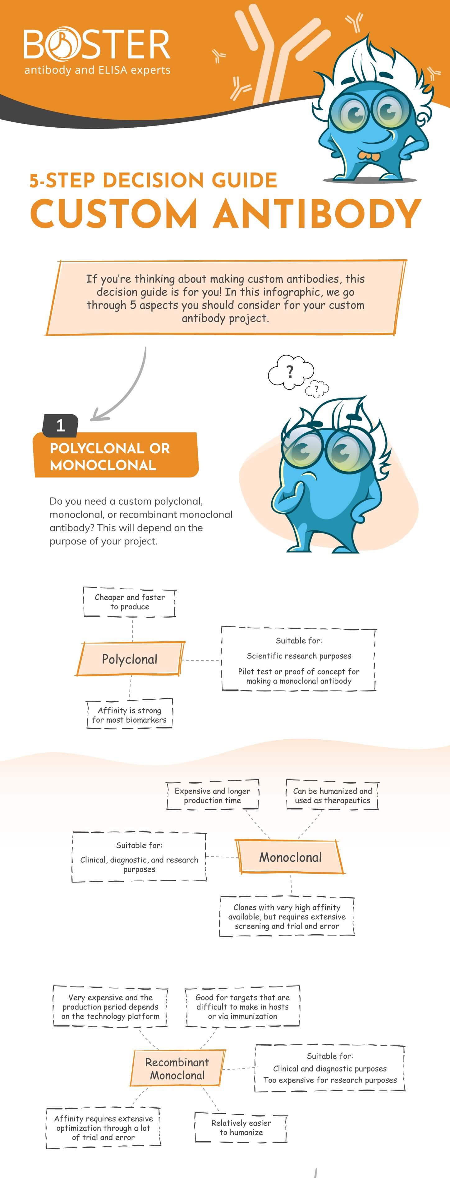 Custom Antibody Production Services
