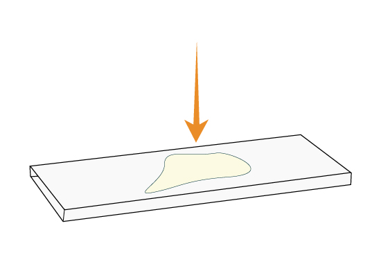 immunohistochemistry Principle. How IHC staining Works