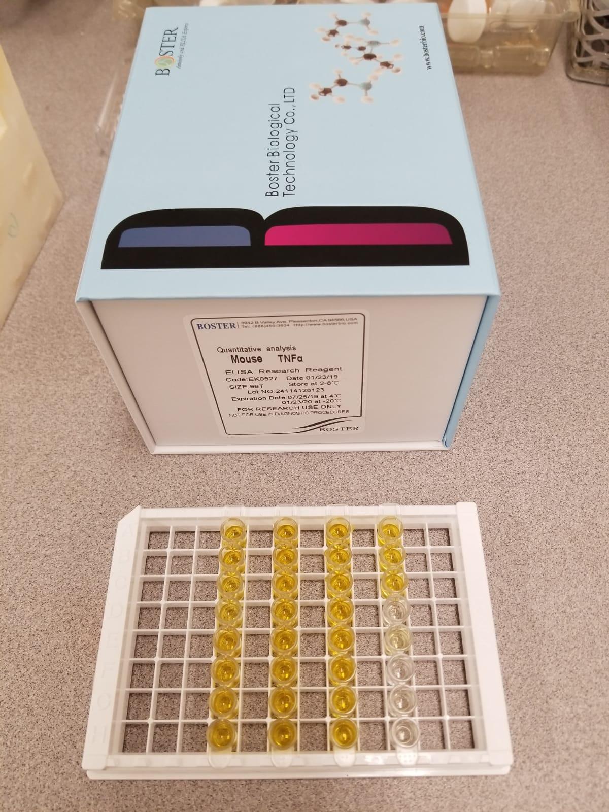 Mouse TNF Alpha/Tumor necrosis factor ELISA Kit Price PicoKine®