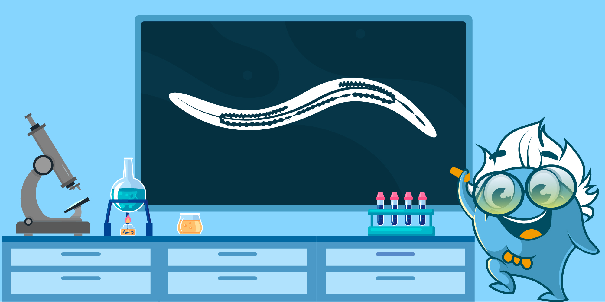 C Elegans Cartoon Dissecting Environmental Influences On Health