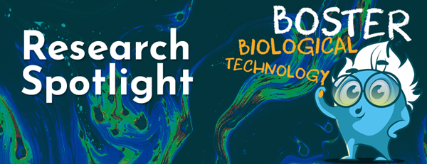 Research Spotlight - November 2021